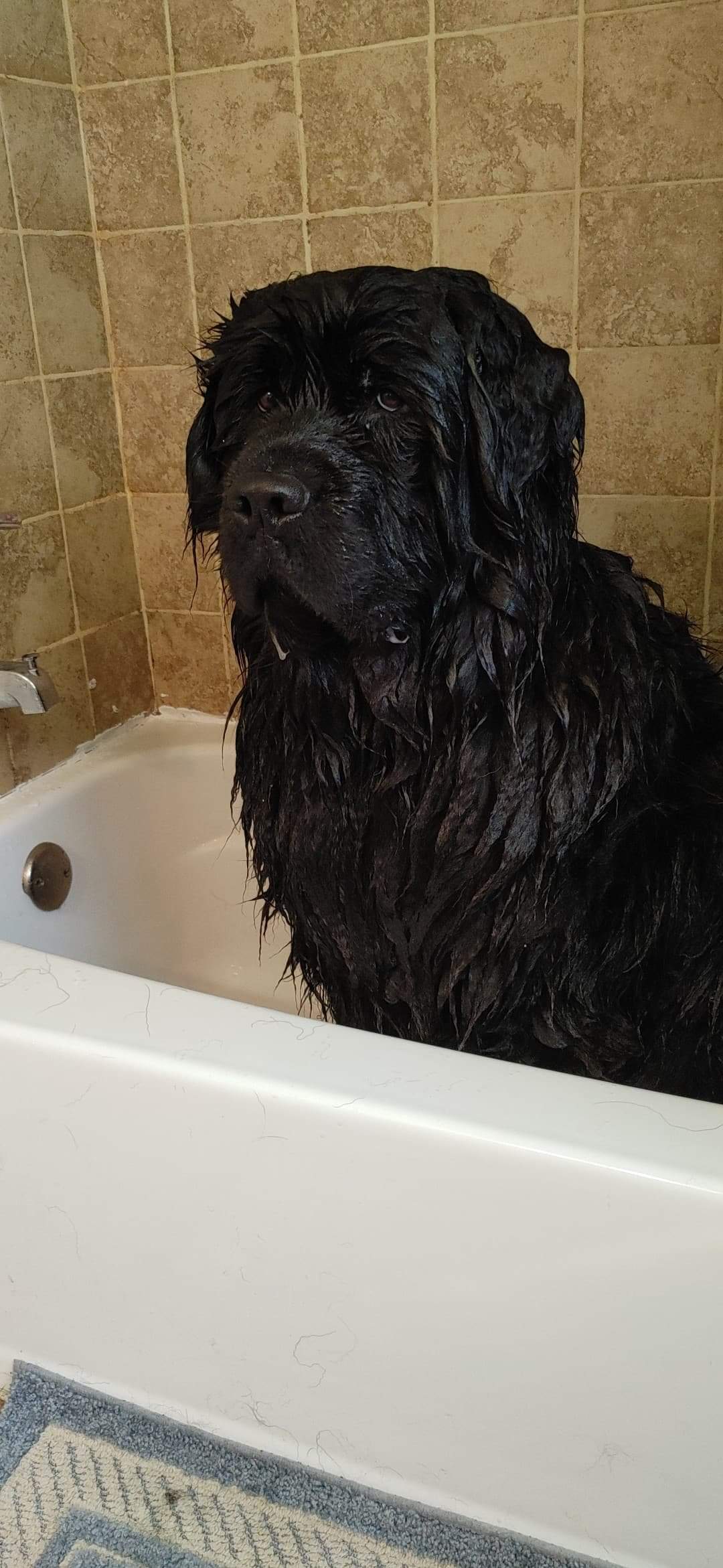 Bath Time! | Scrolller