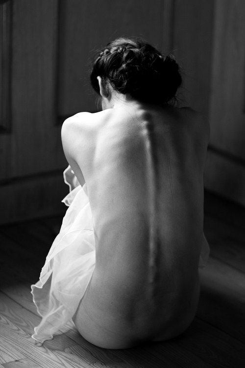 Bathed in the window's light | Scrolller