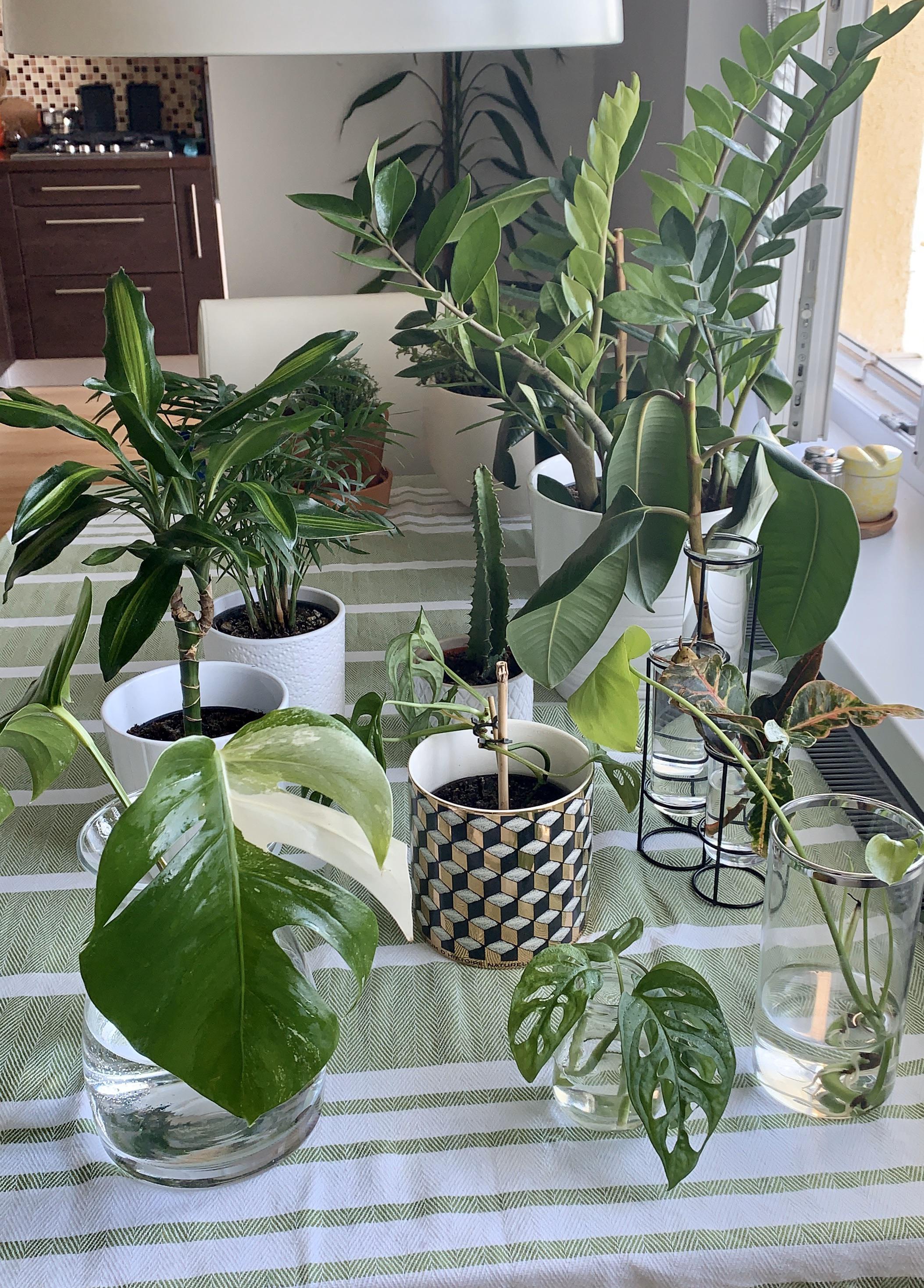 🌱 •Bathtime• 🌱 | Scrolller