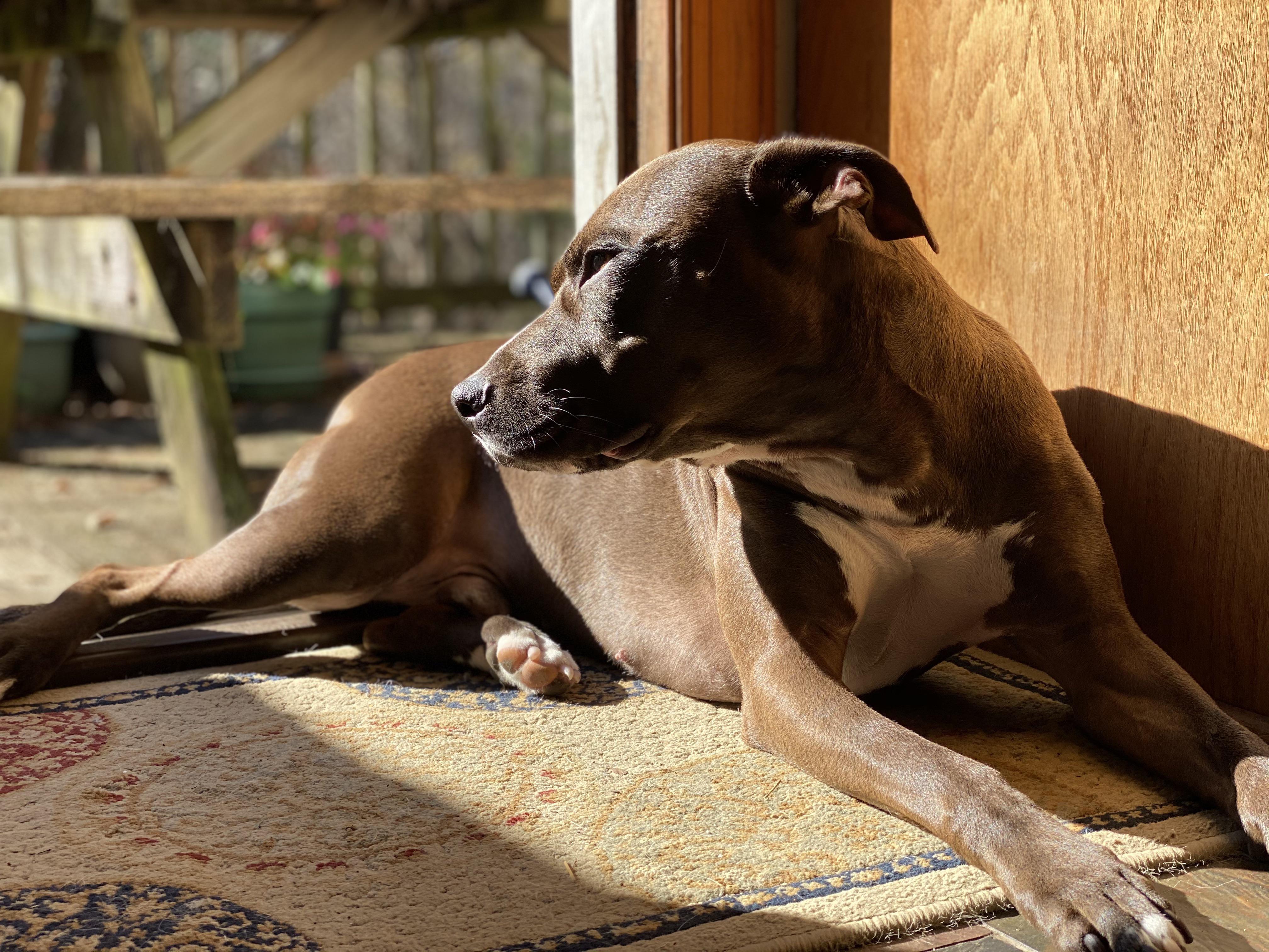 Be still my beating heart 🥰😍💓💓 | Scrolller