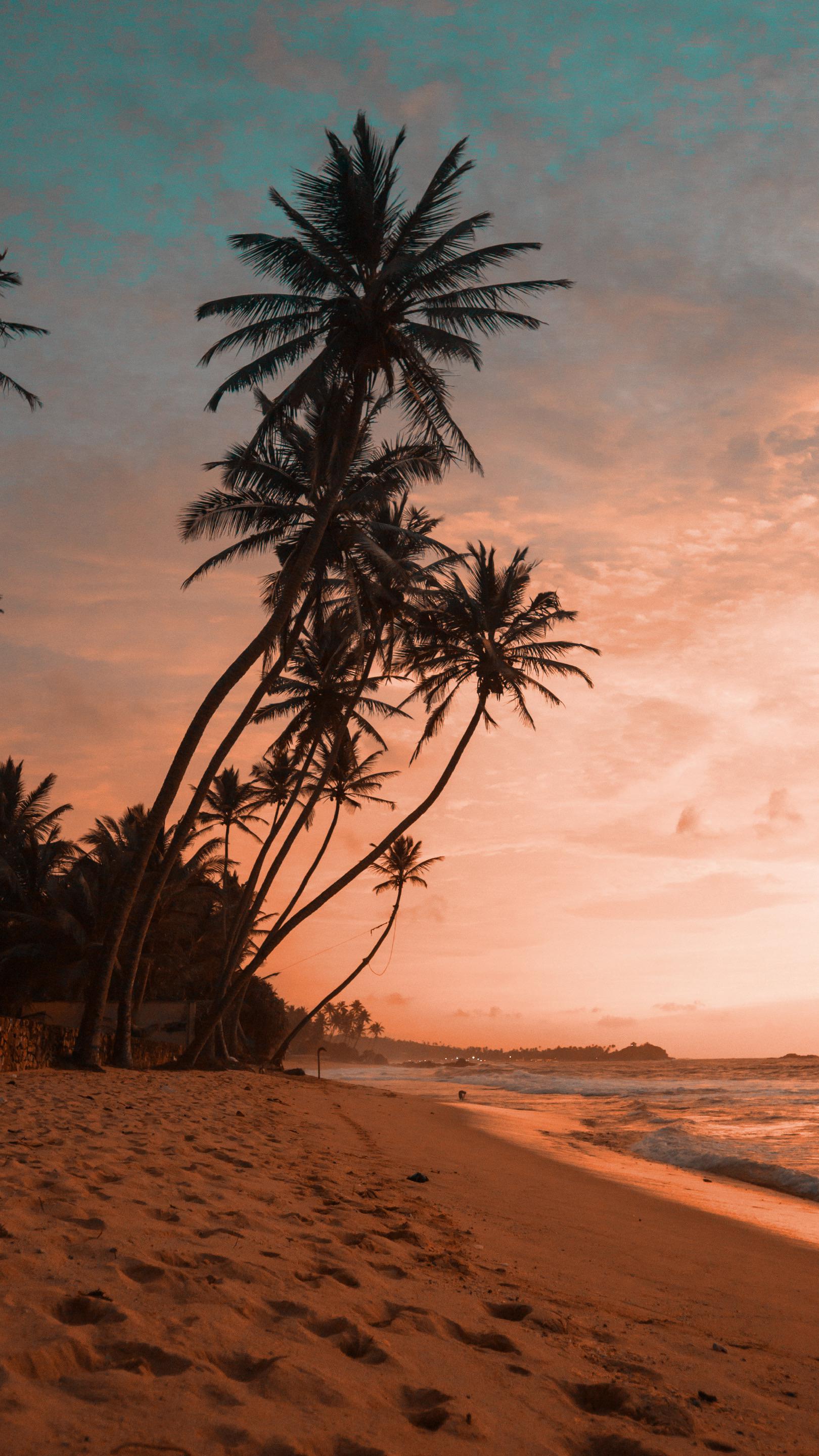 Beach views 🏖 | Scrolller