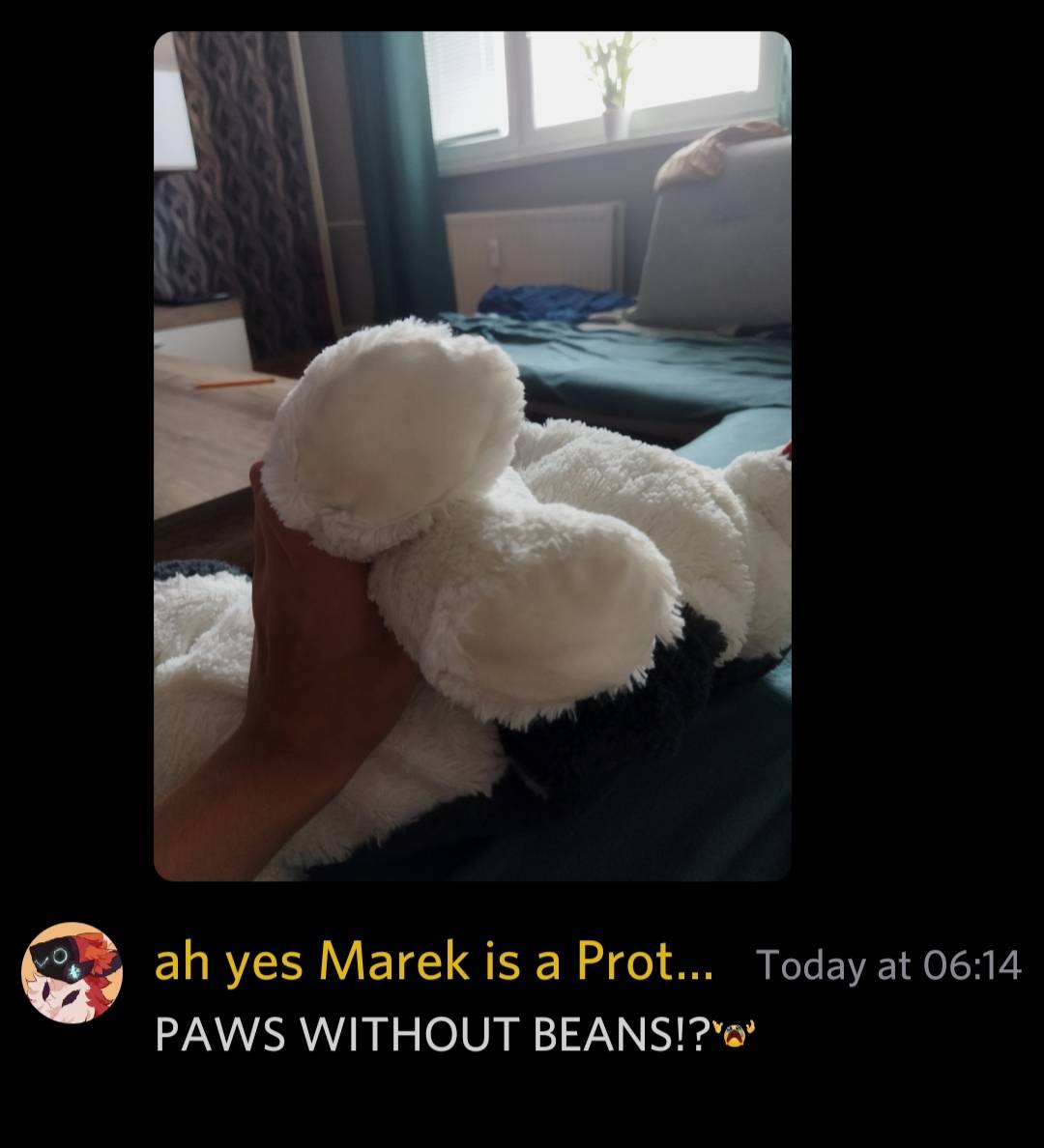 Beans_IRL | Scrolller