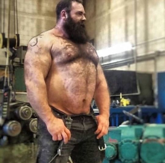 beardy beef | Scrolller