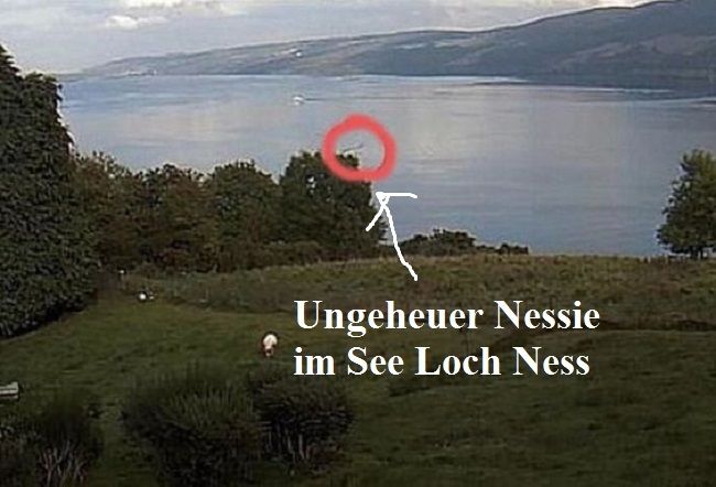 Beast Nessie in Lake Loch Ness, Scotland | Scrolller