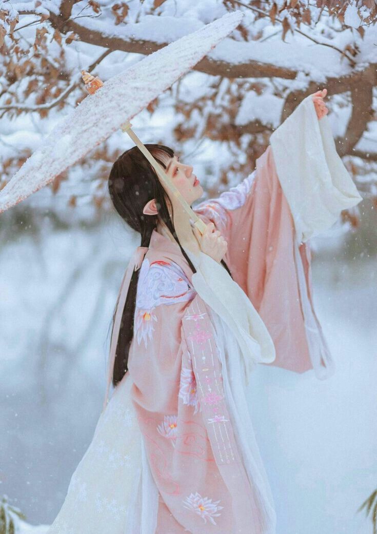 Beautiful hanfu in the snow | Scrolller