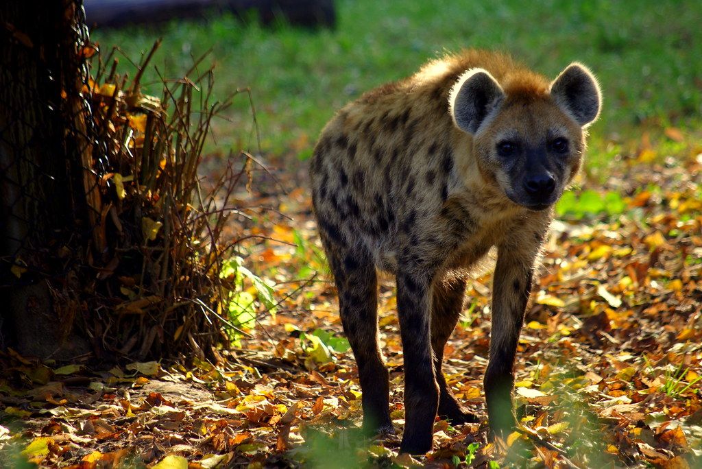 Beautiful light | Scrolller