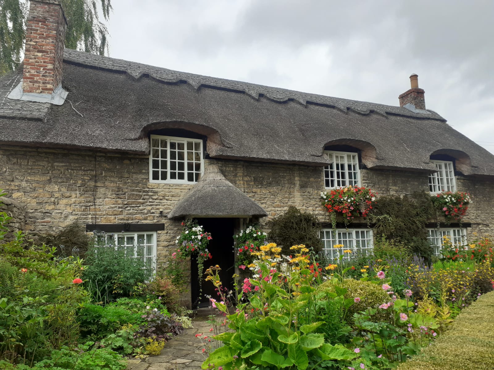 Beautiful thatched roof cottage I saw on a walk yesterday | Scrolller