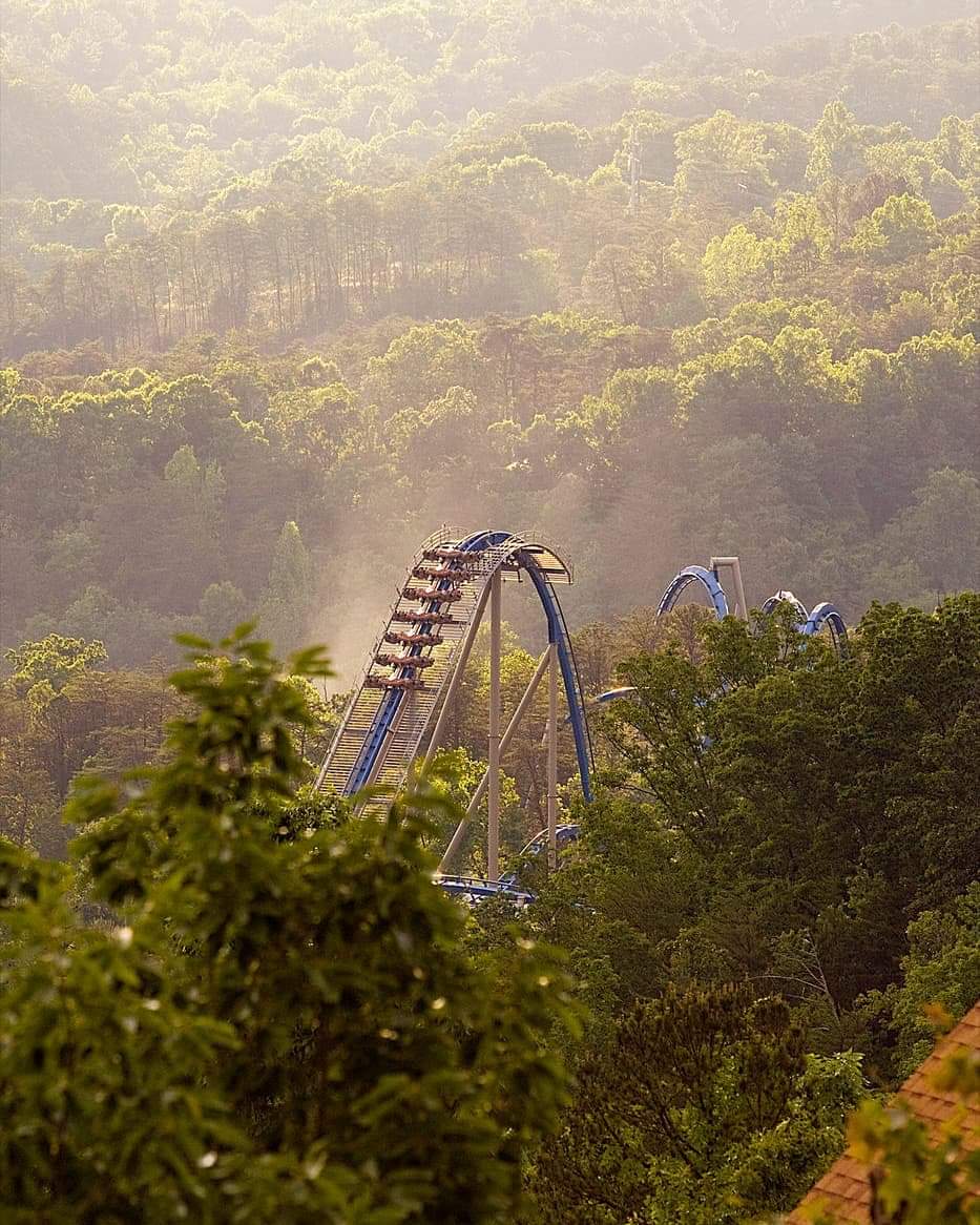 Beautiful view of Wild Eagle at Dollywood (posted by Dollywood on FB) | Scrolller