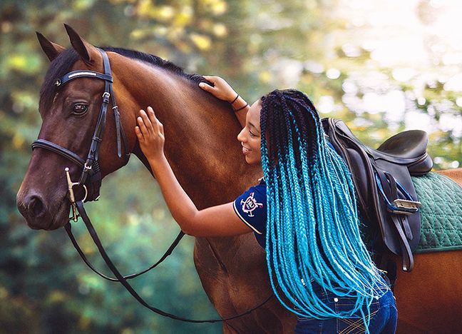 Horses | Pictures | Scrolller