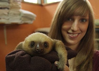 Becky and Slothie | Scrolller