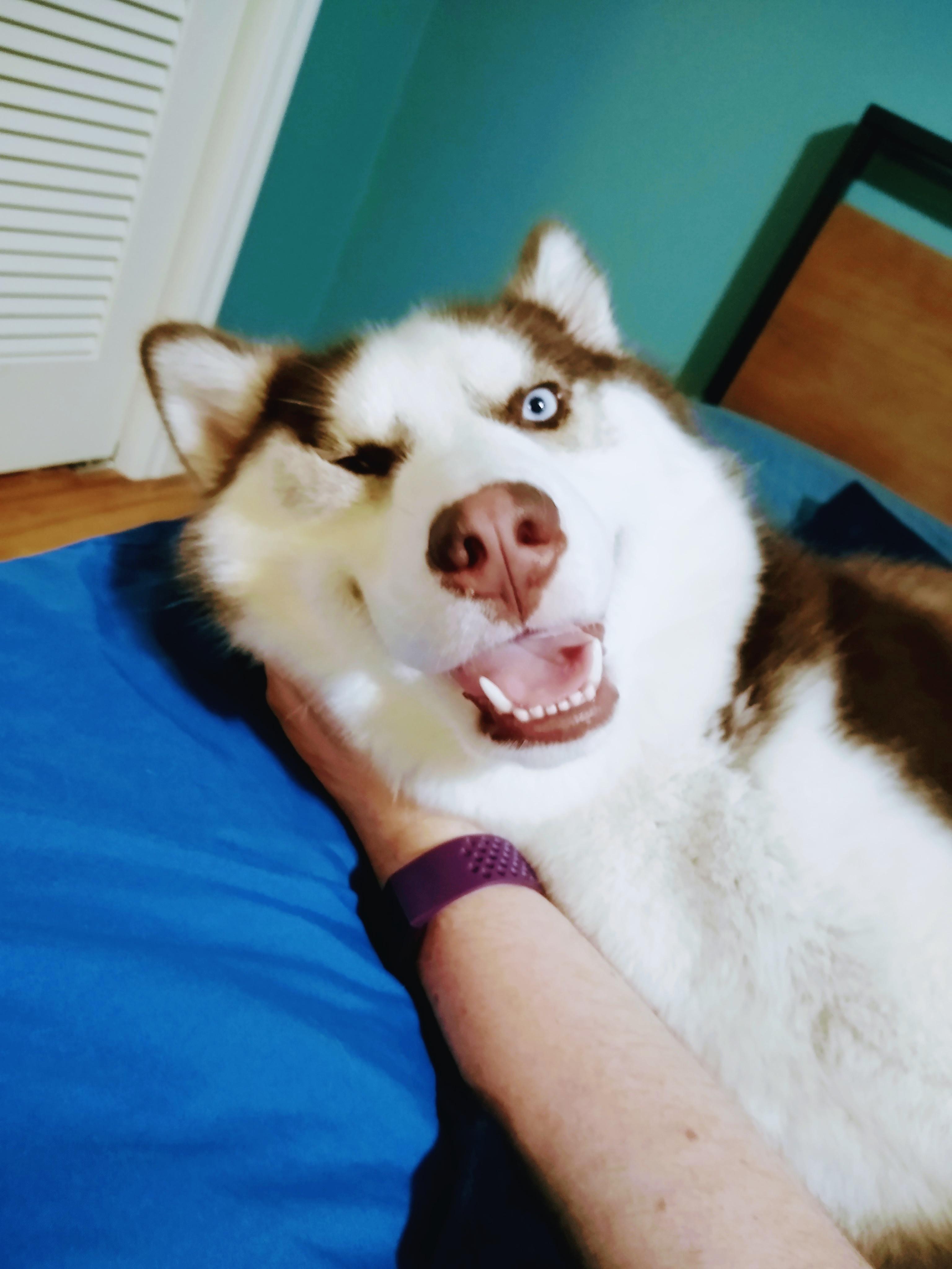 Bedtime snuggles | Scrolller