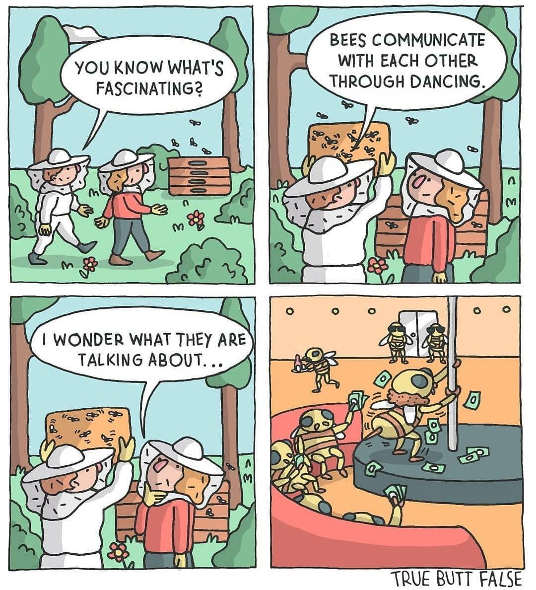 Bee dance | Scrolller