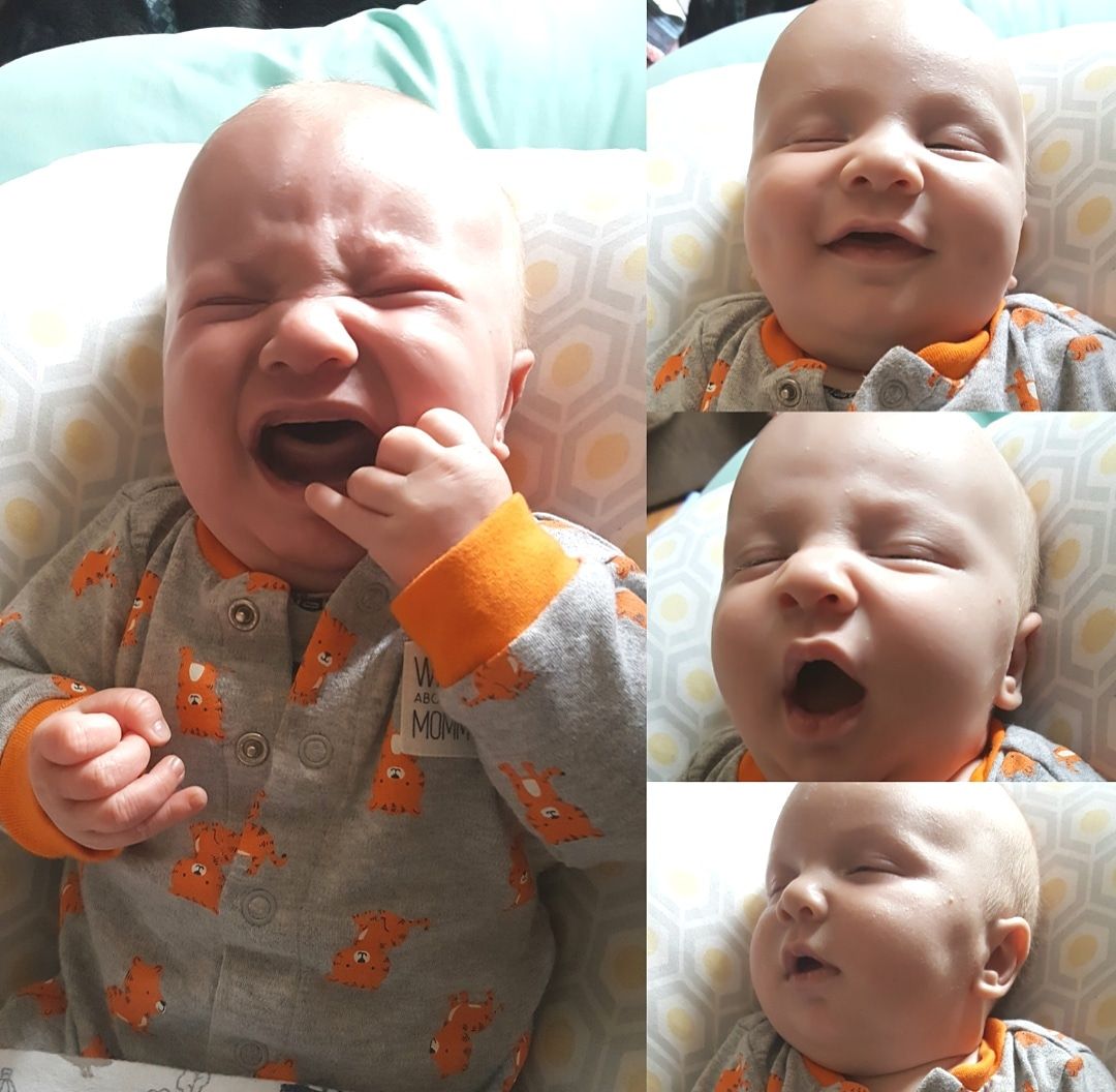 Before and after every feeding... | Scrolller