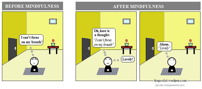 Before and After Mindfulness | Scrolller