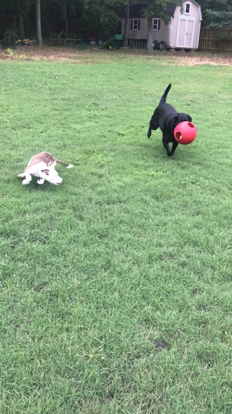 Before the attack | Scrolller