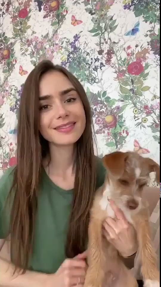 Being Cute | Scrolller