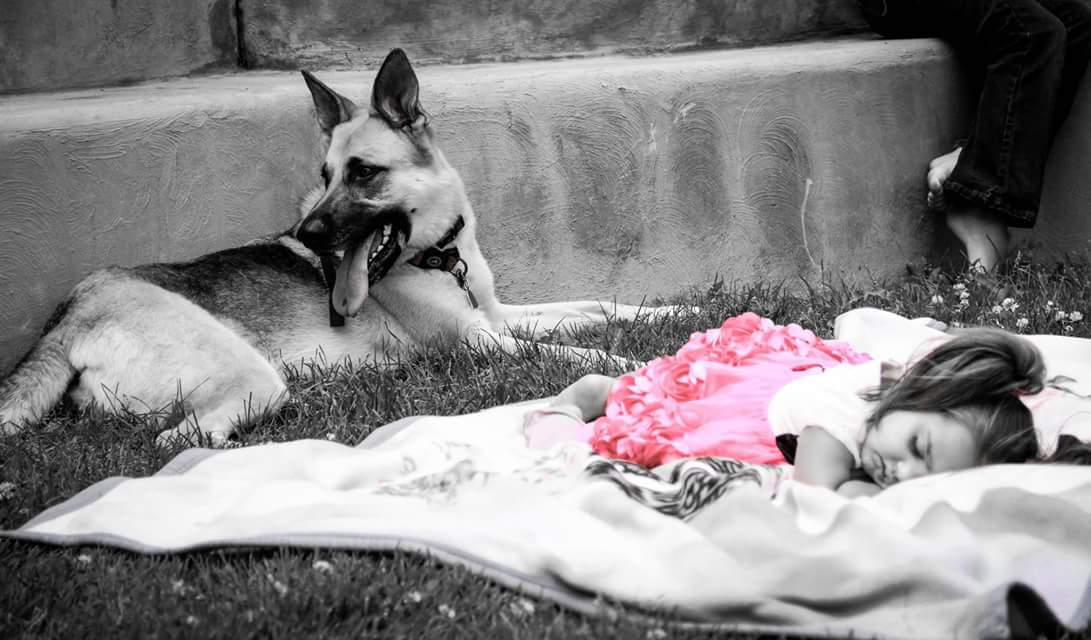 Bella watching over her tiny human. | Scrolller