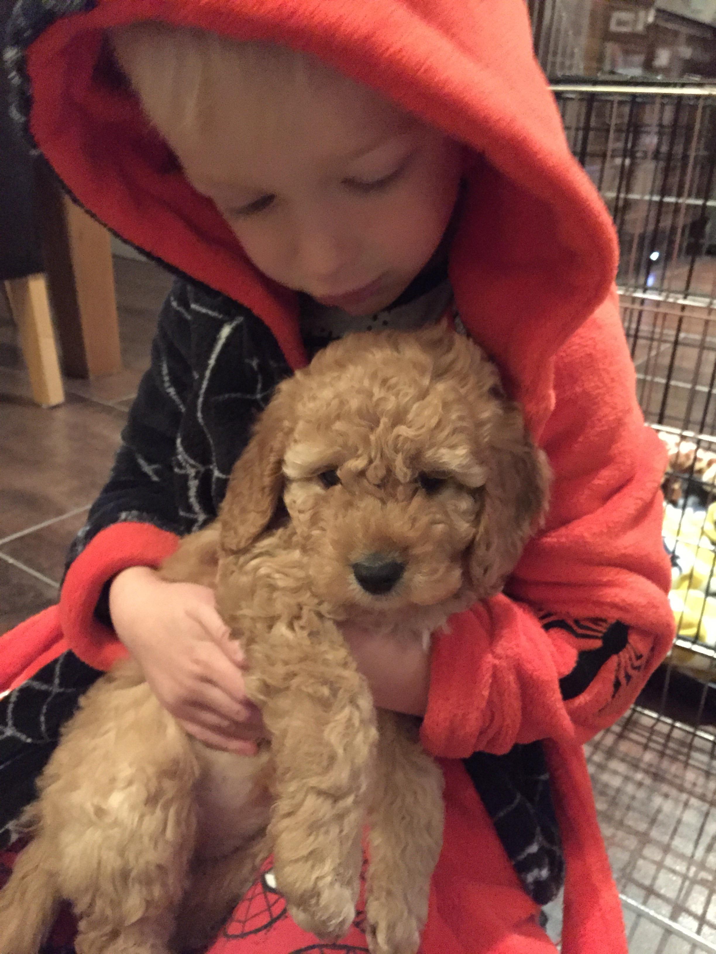 Benji and Daisy, instant best buds | Scrolller