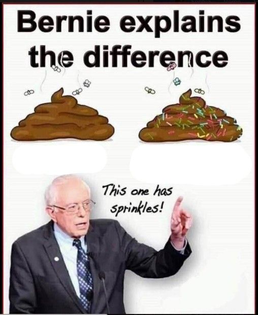 Bernie Explains | Scrolller