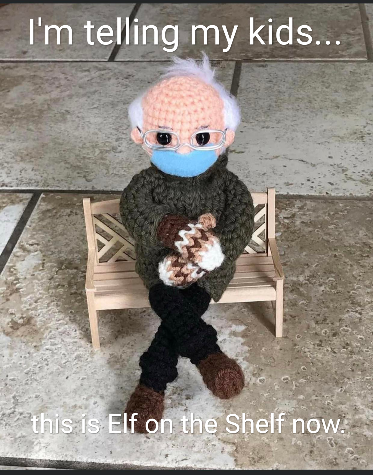 Bernie on the Shelf | Scrolller