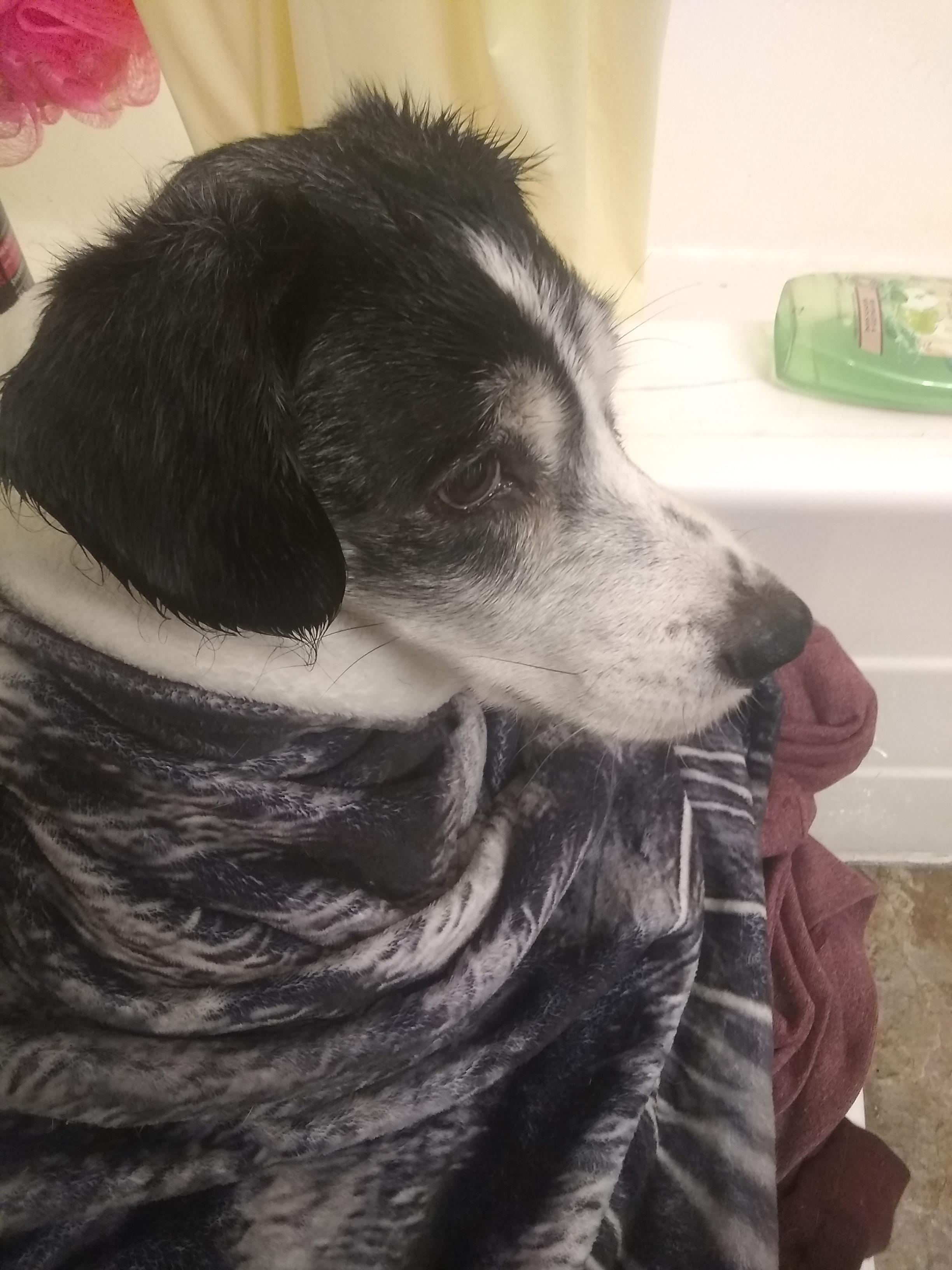 Best bath boy | Scrolller