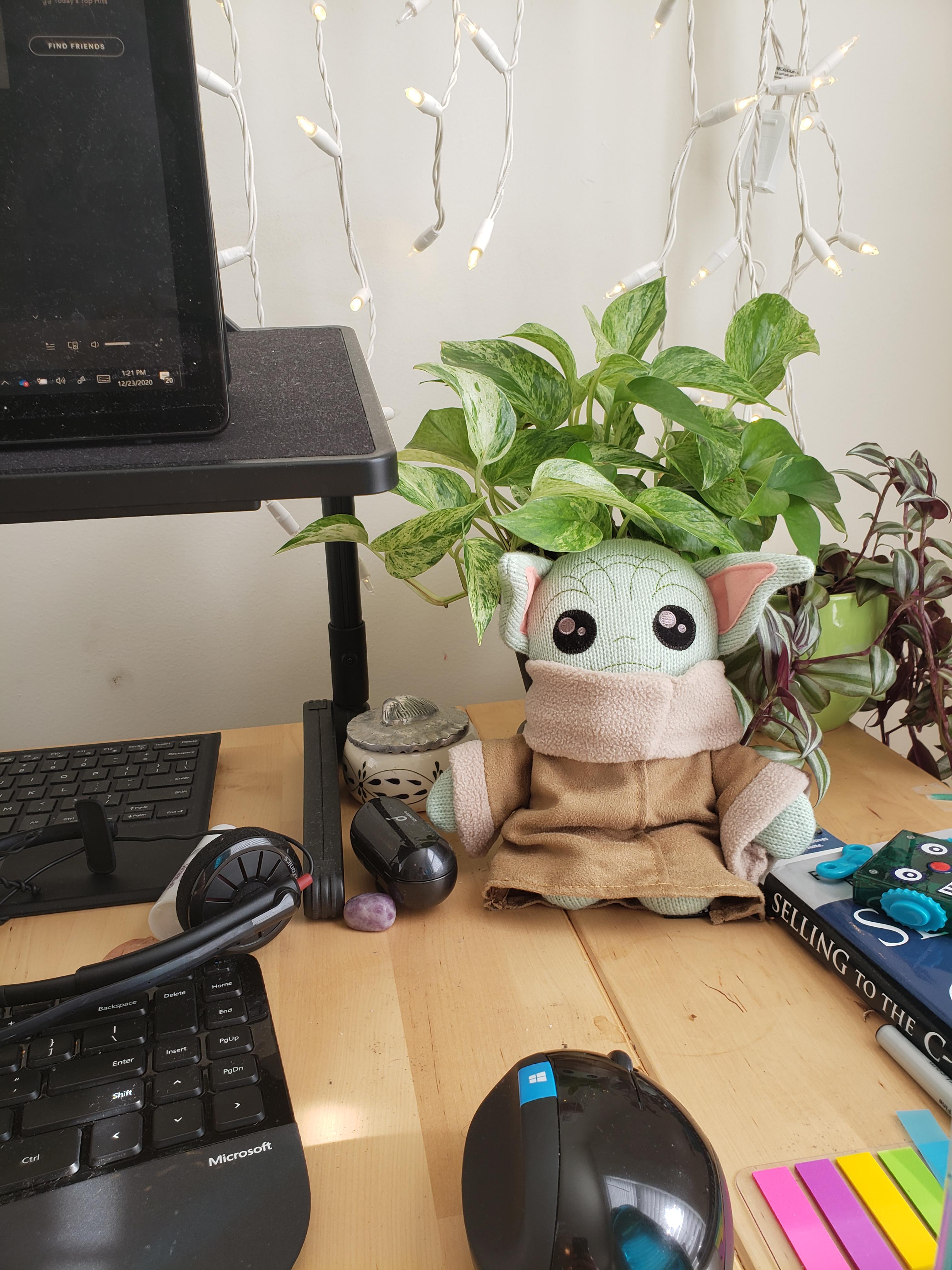 Best birthday present ever! | Scrolller