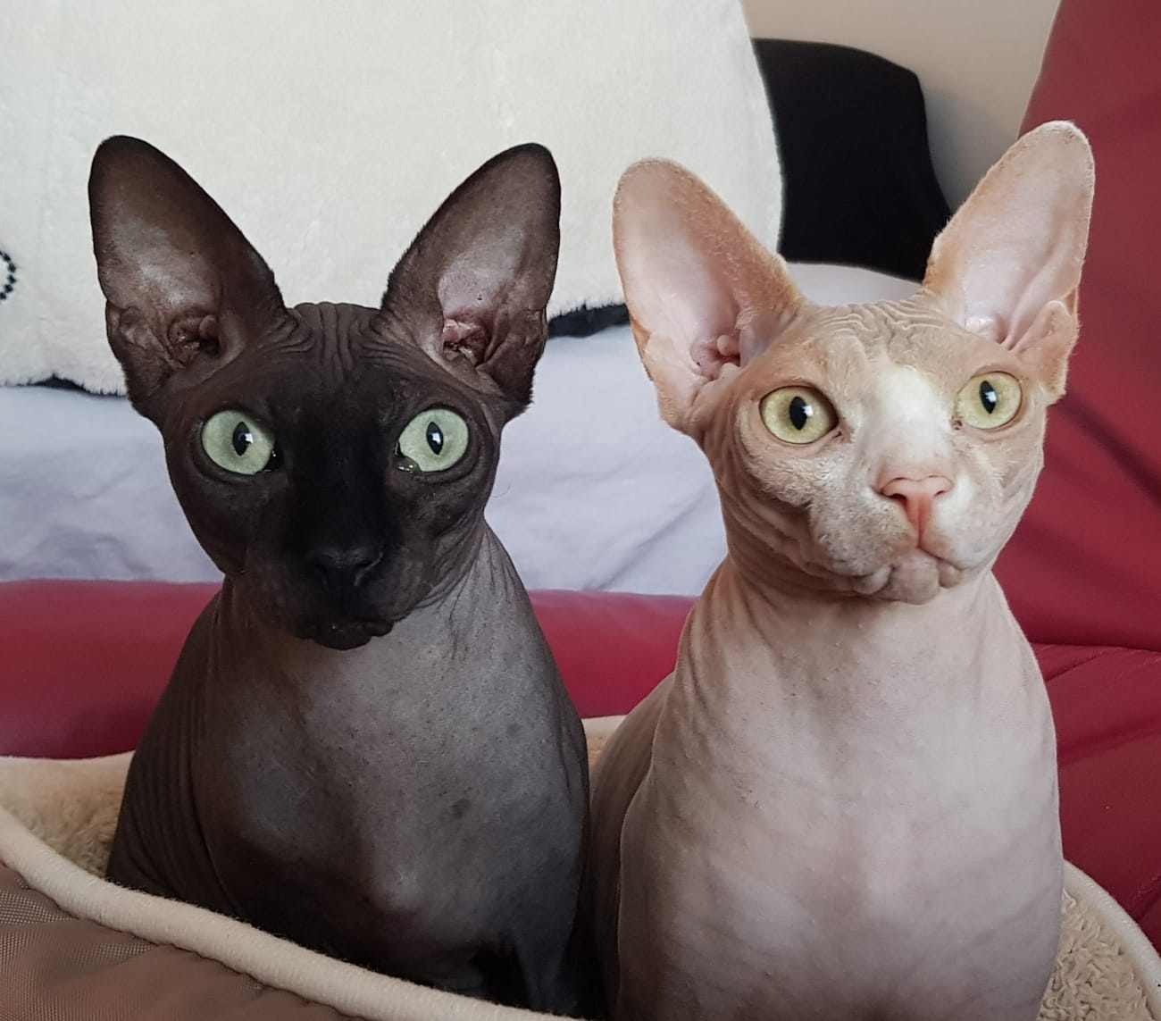 Best boys | Scrolller