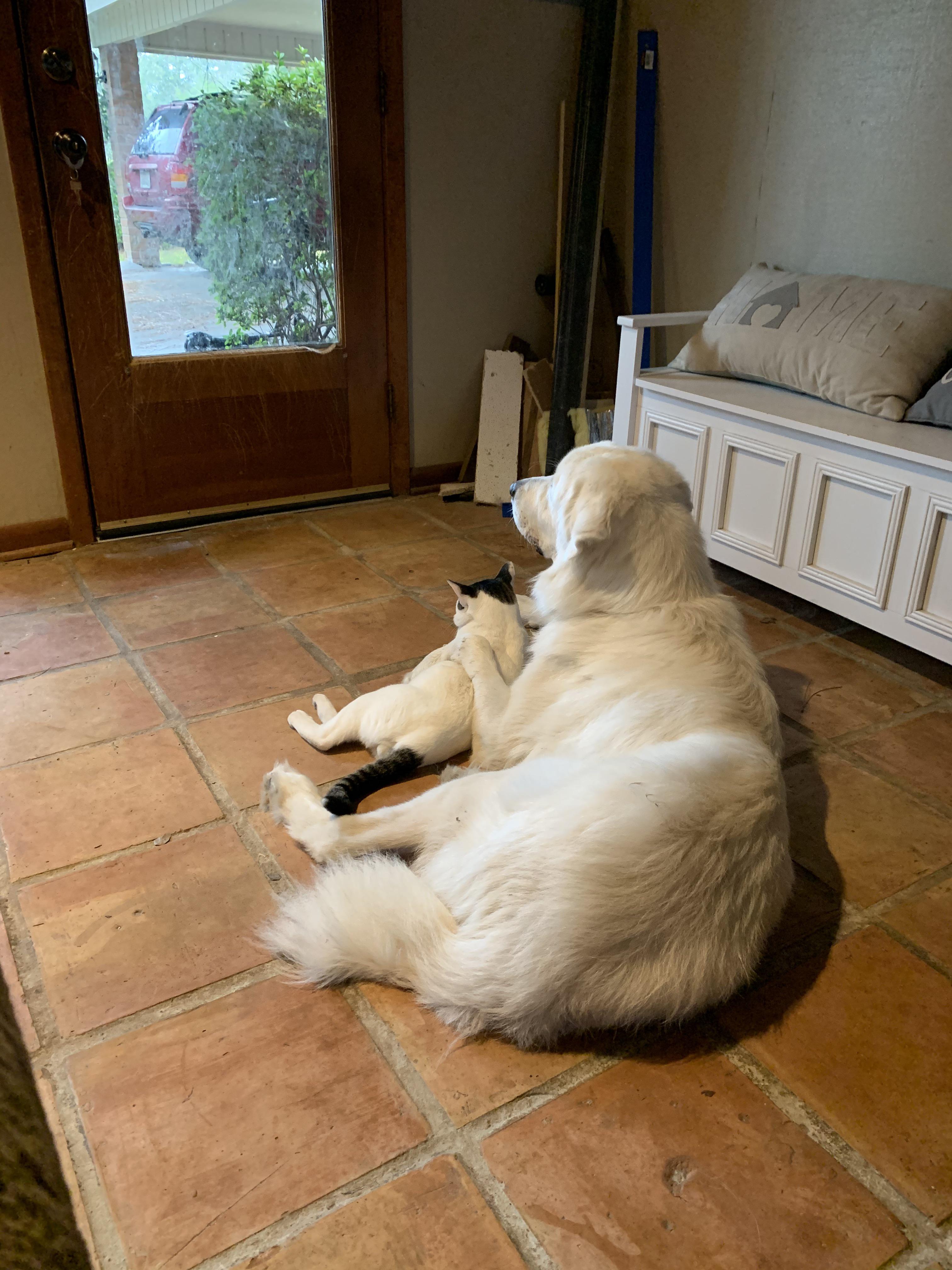 Best bros. | Scrolller