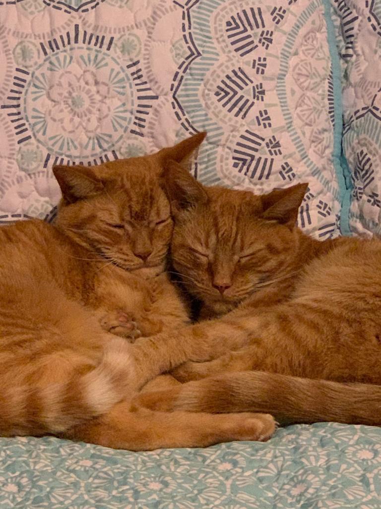 Best buds | Scrolller