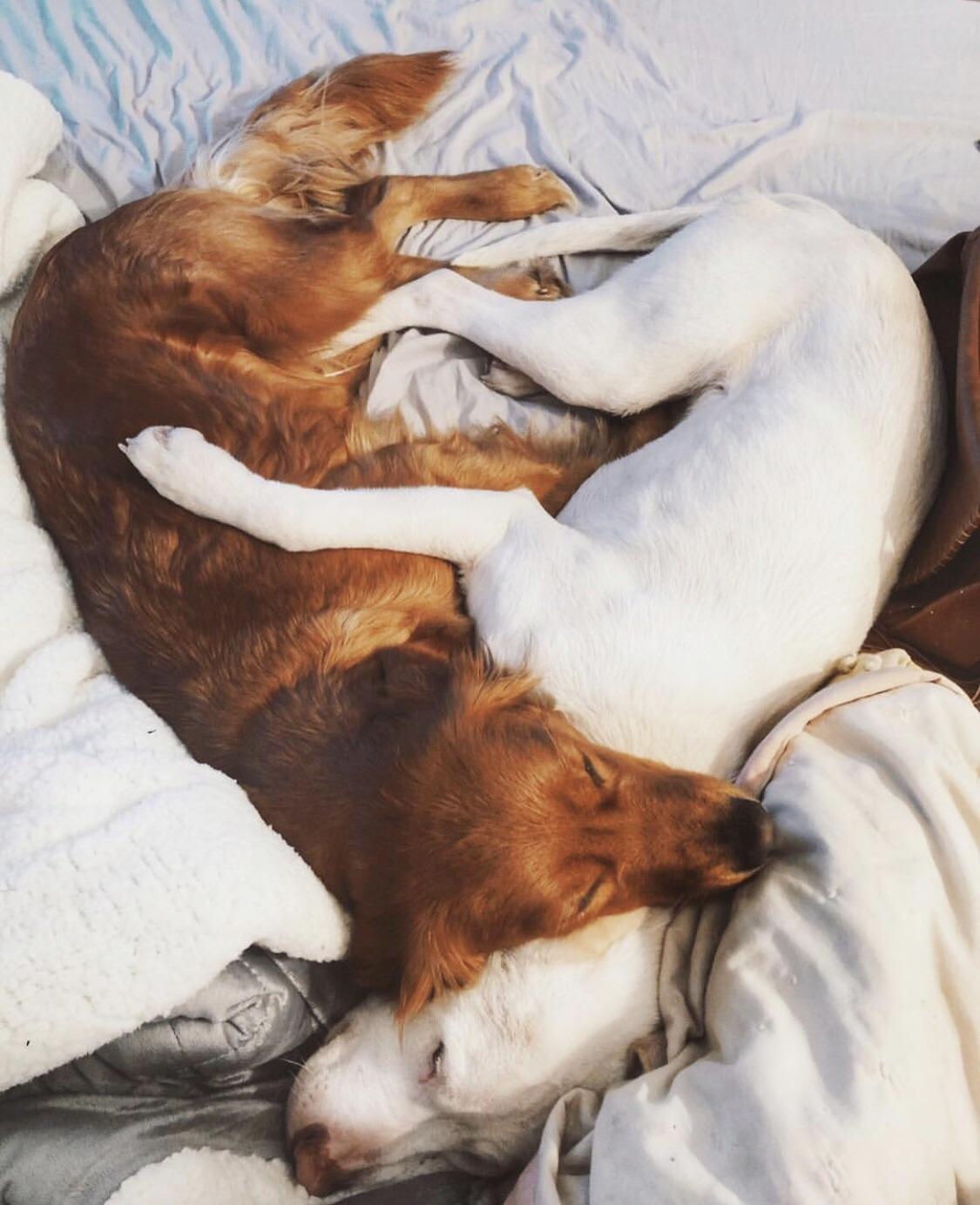 Best buds 💜 | Scrolller