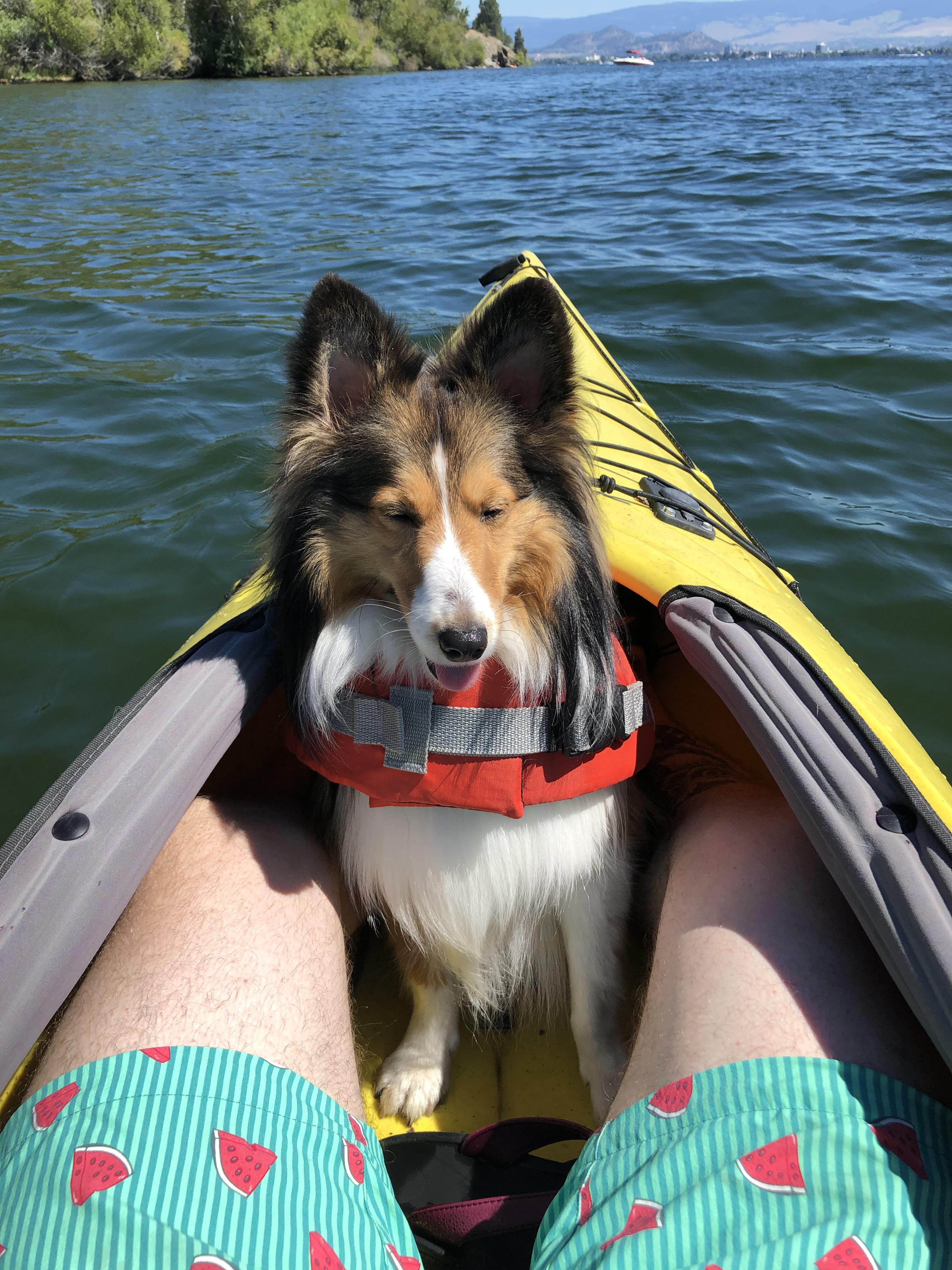 Best co-captain around | Scrolller