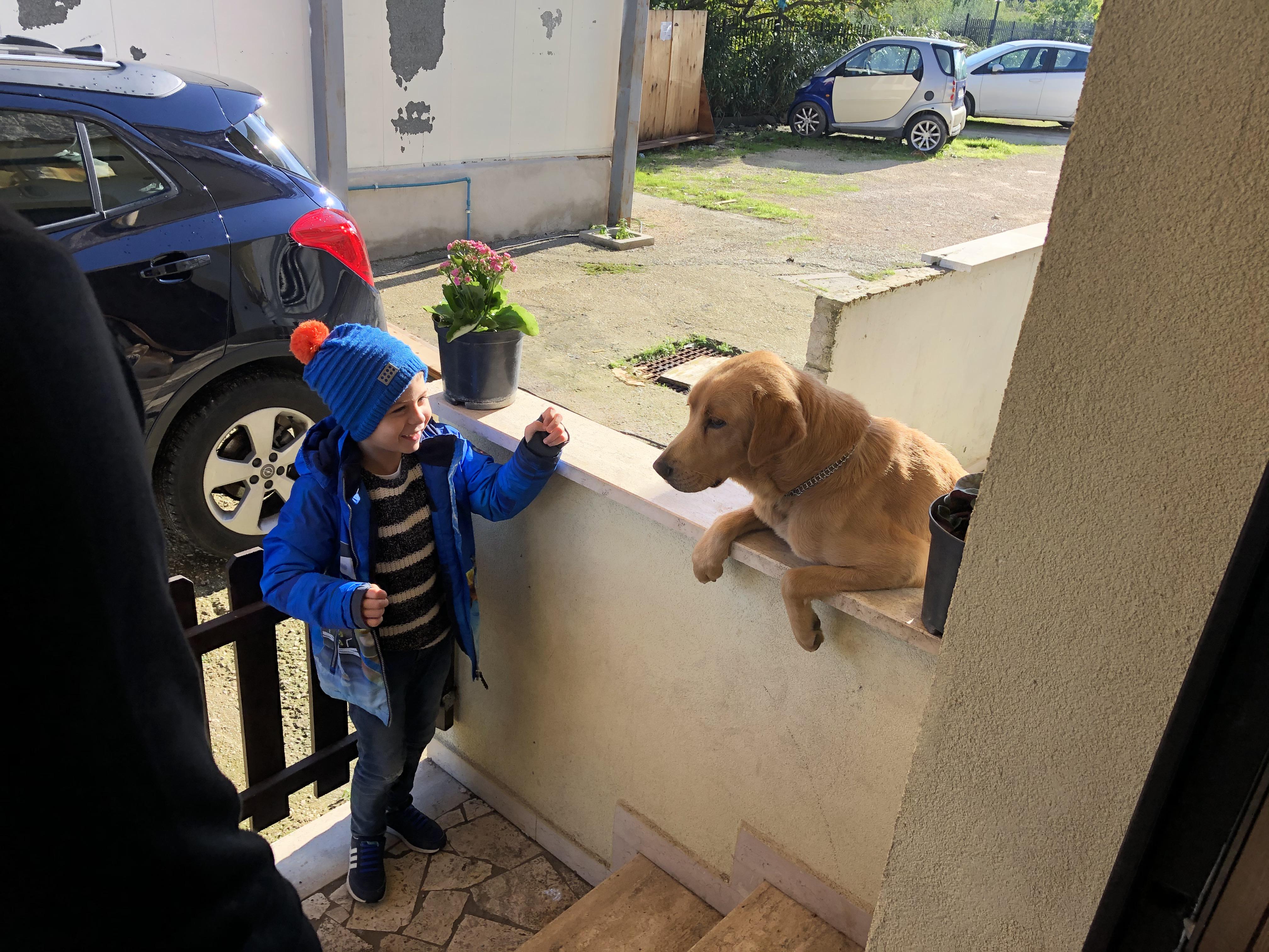 Best dog | Scrolller