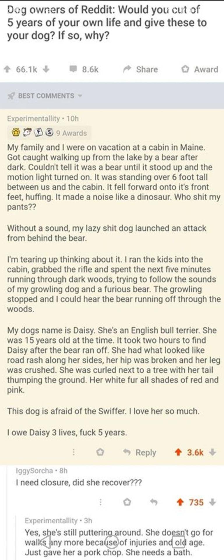 Best doggo | Scrolller