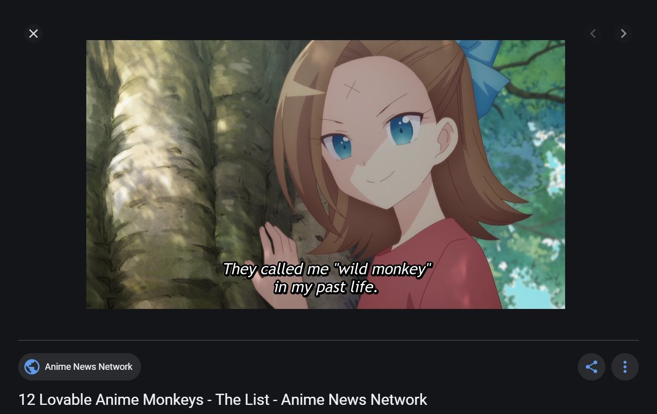 Best Monkey | Scrolller