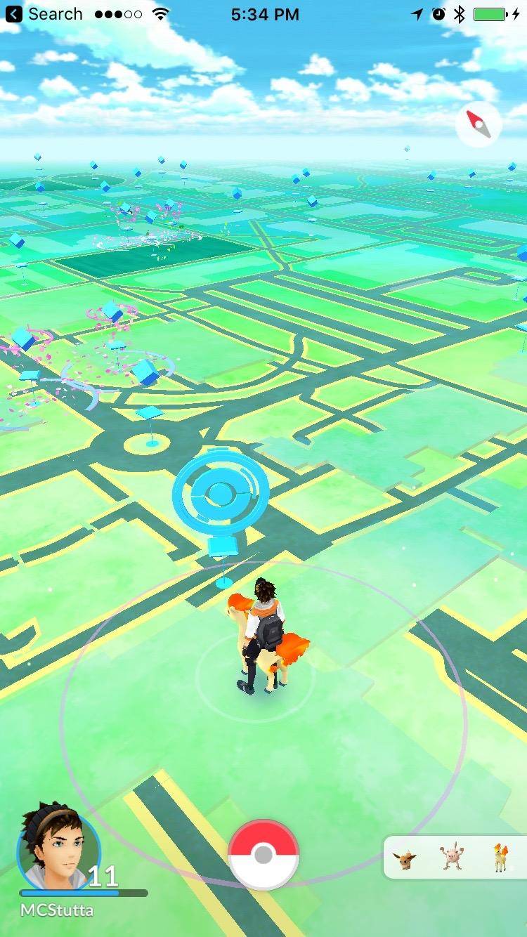 Best possible Ponyta spawn | Scrolller