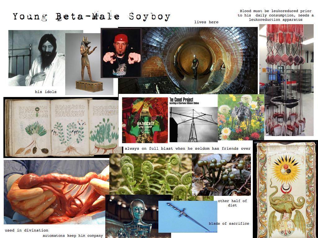 Beta male | Scrolller