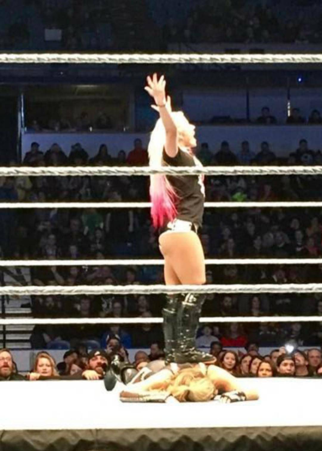 Beta natalya becomes alexa's posing stool, Right where she belongs | Scrolller