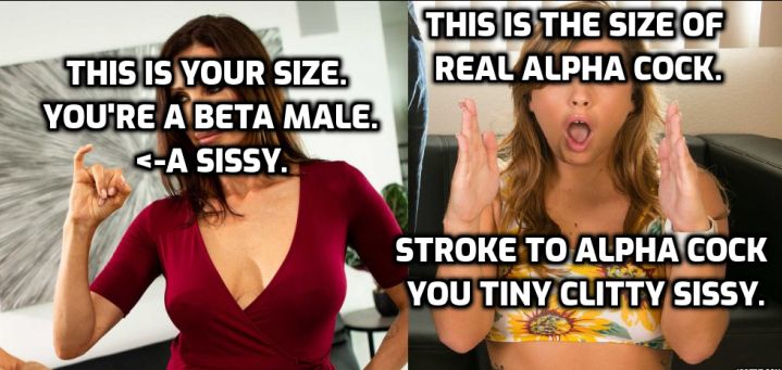 Beta vs Alpha. You know which one you are don't you sissy? | Scrolller