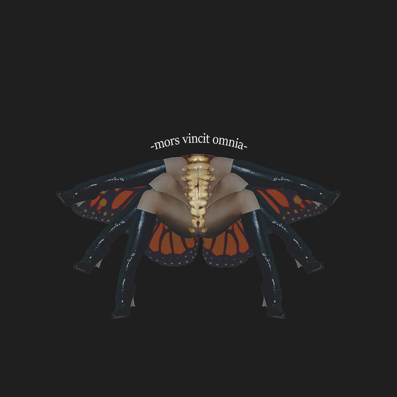 Beware the Monarch Butterfly [1334x1334] [graphic] [OC] | Scrolller