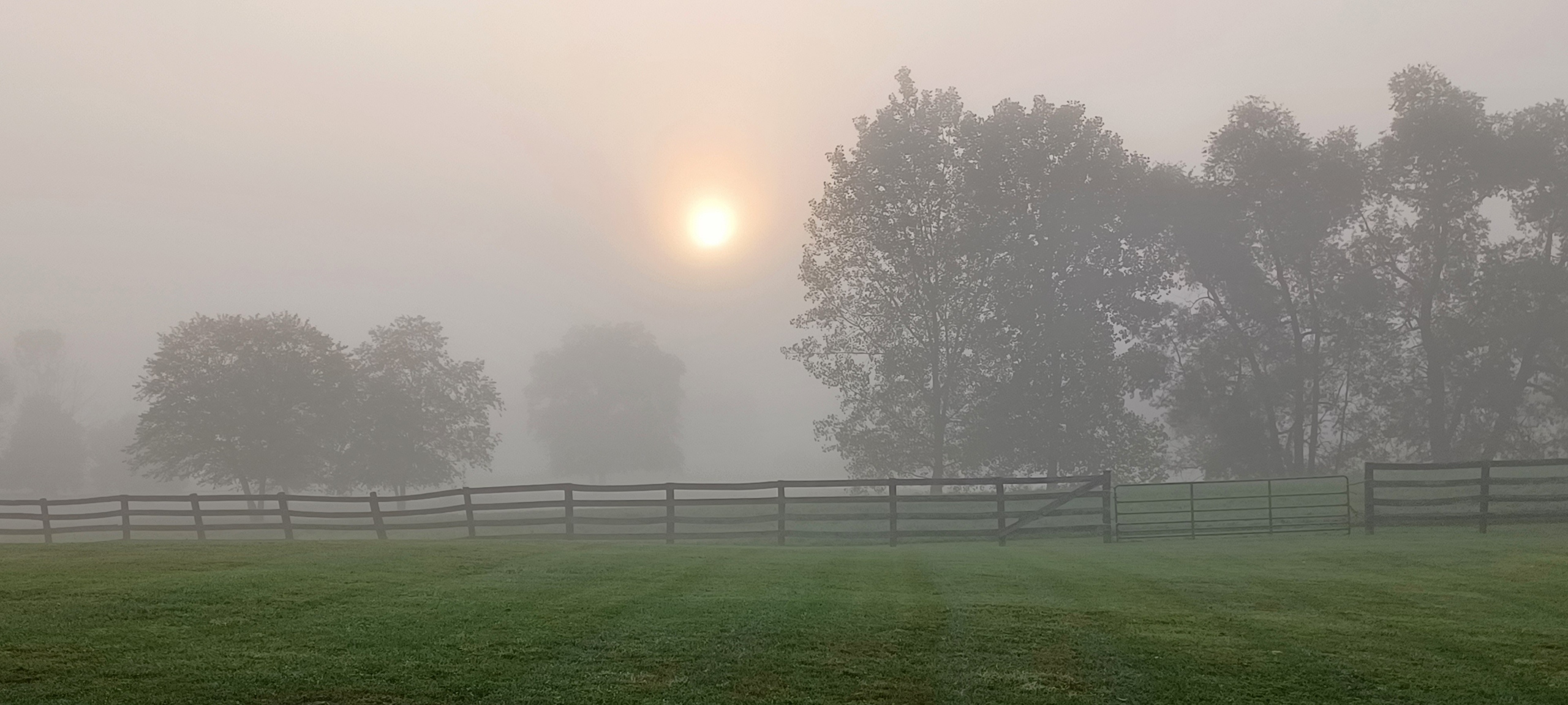 Beyond the Fence? | Scrolller