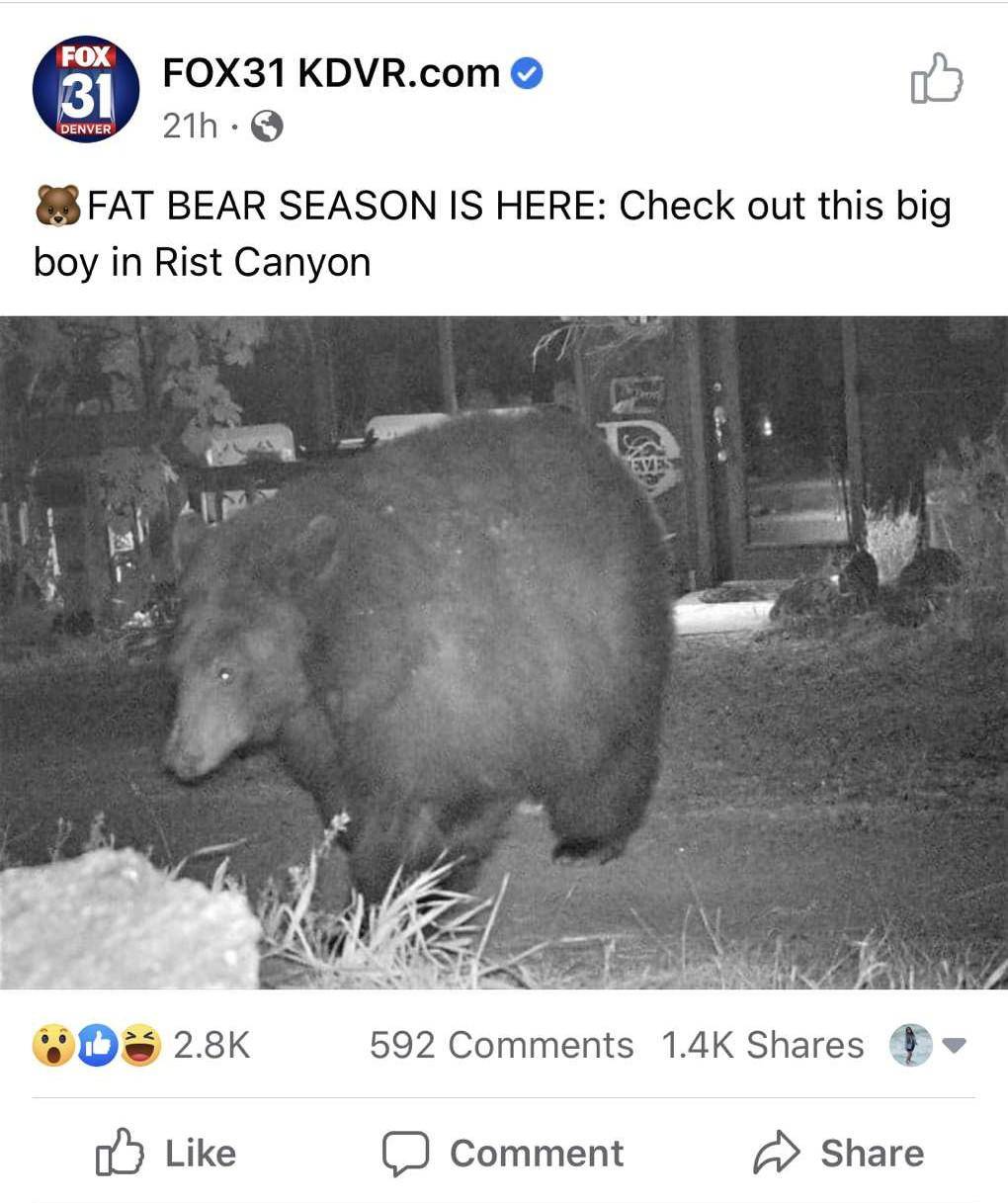 BIG CHEESE | Scrolller