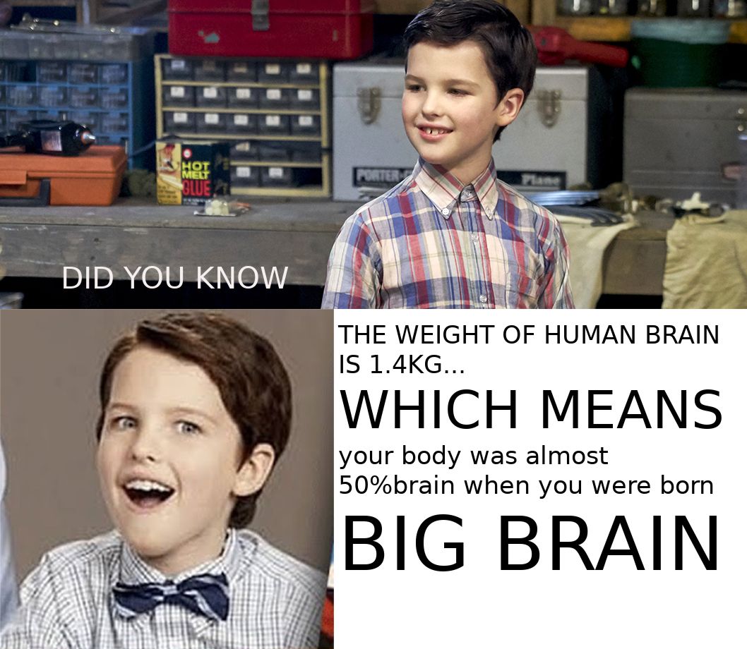 BIG BRAIN | Scrolller