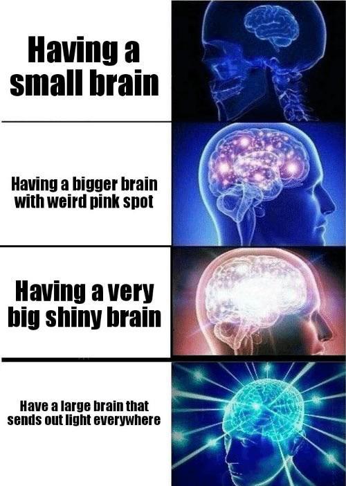 Big brain | Scrolller