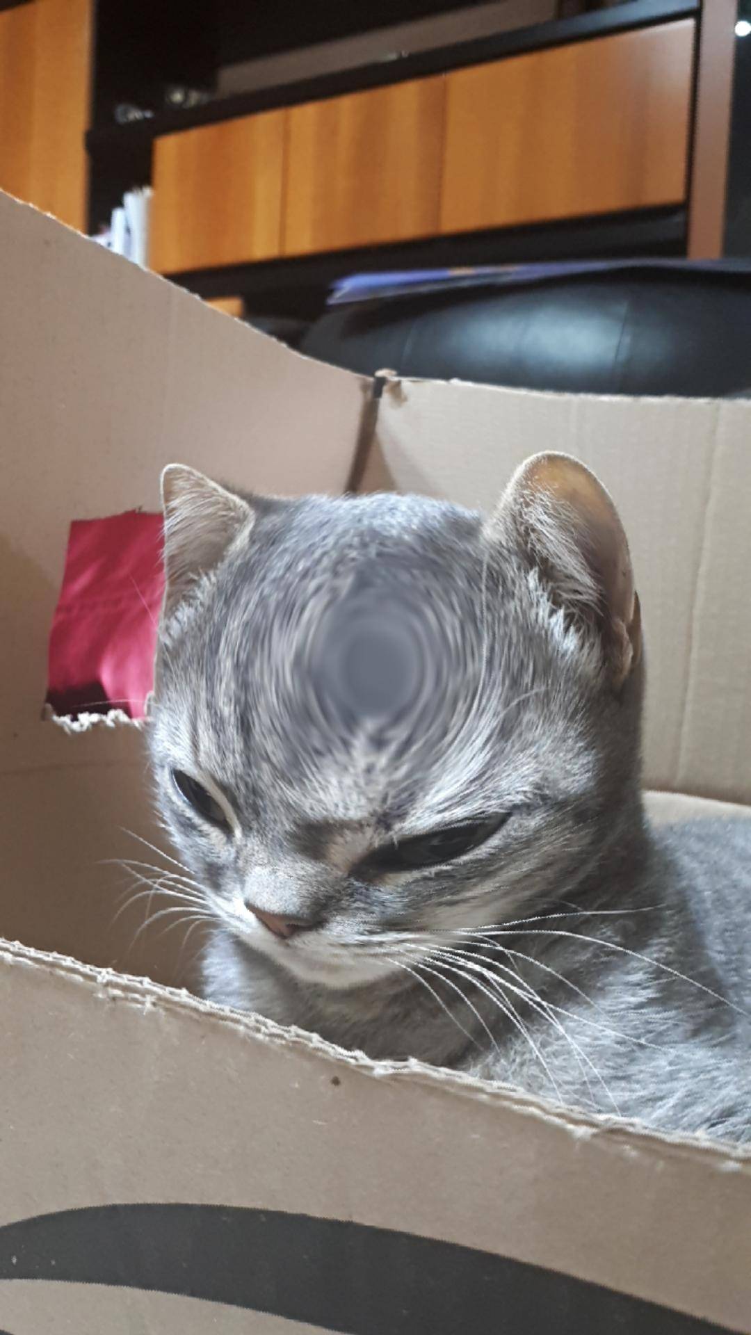 Big brain energy | Scrolller