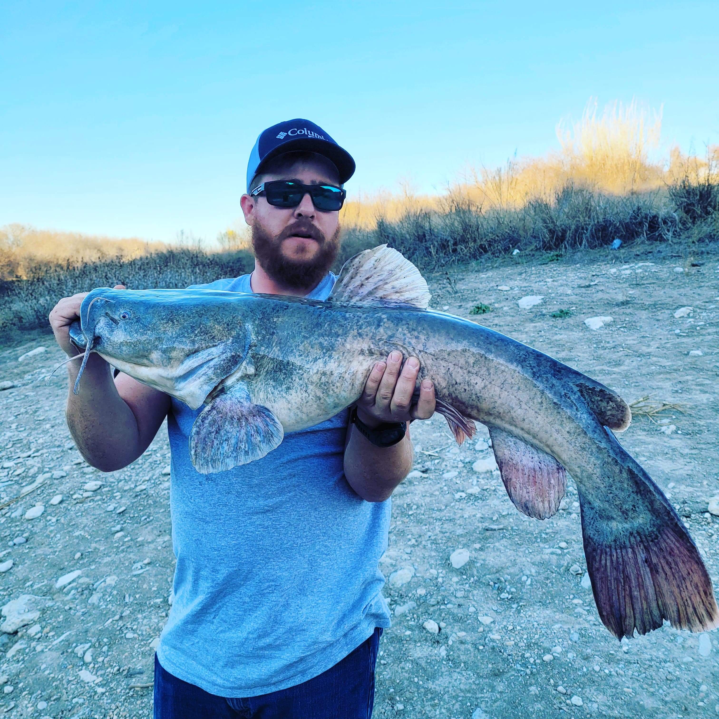 big catfish | Scrolller