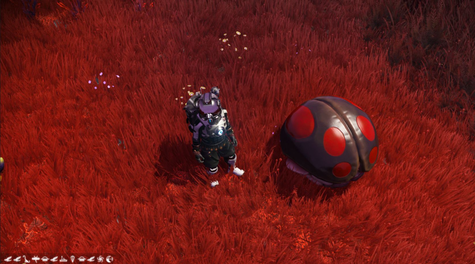 Big Lady Bug. | Scrolller