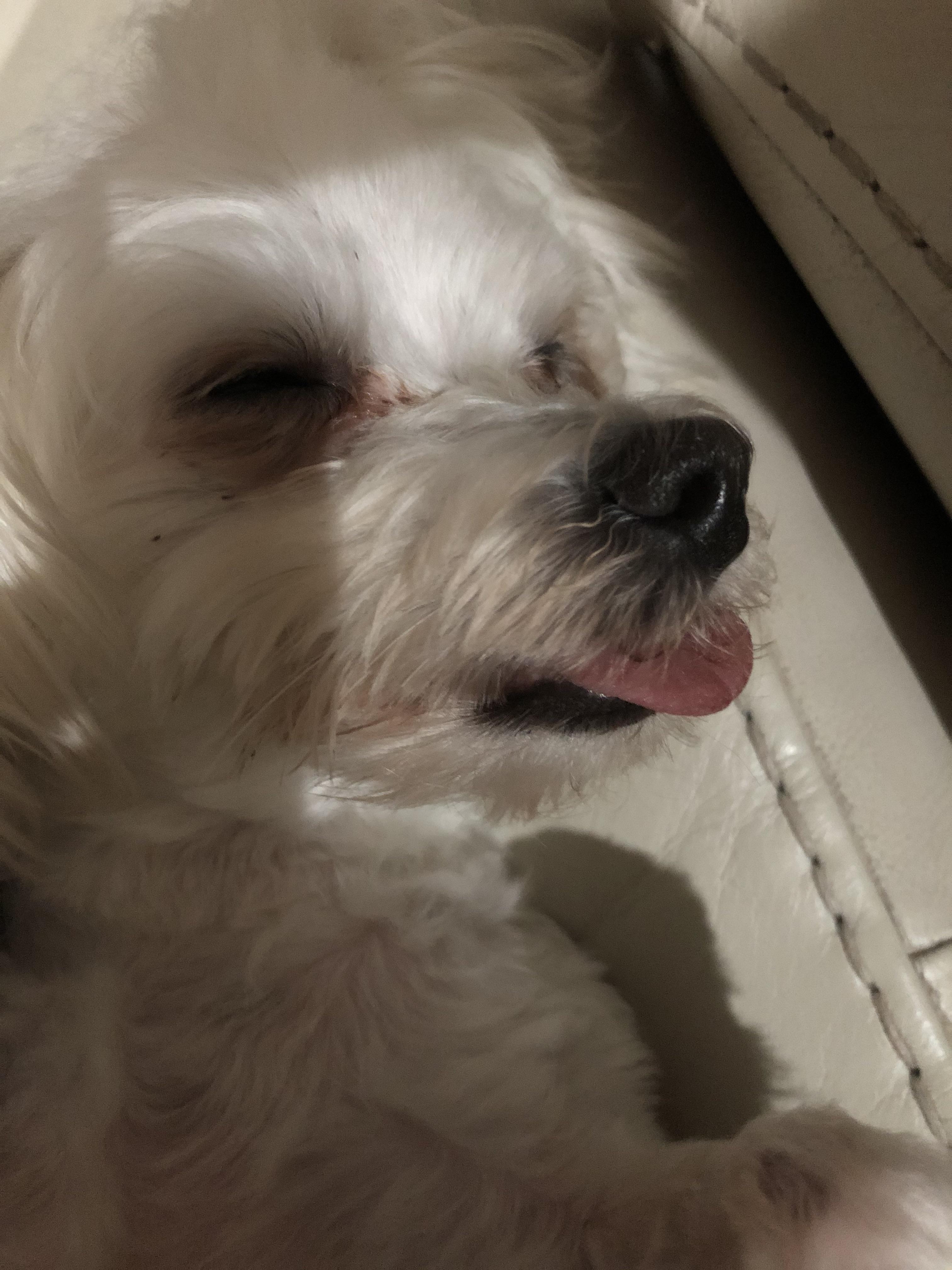 Big sleepy bloop | Scrolller