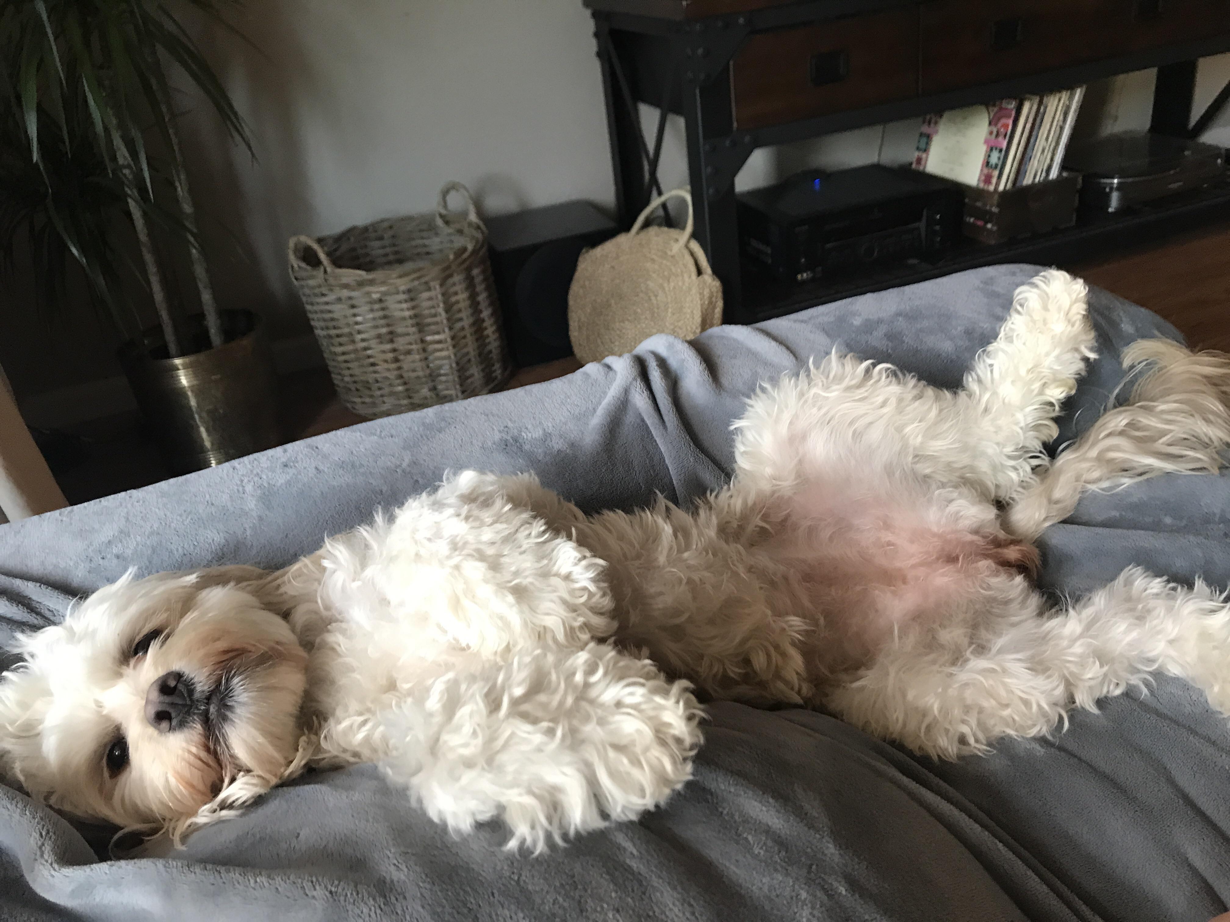 Biggest snuggle bug | Scrolller