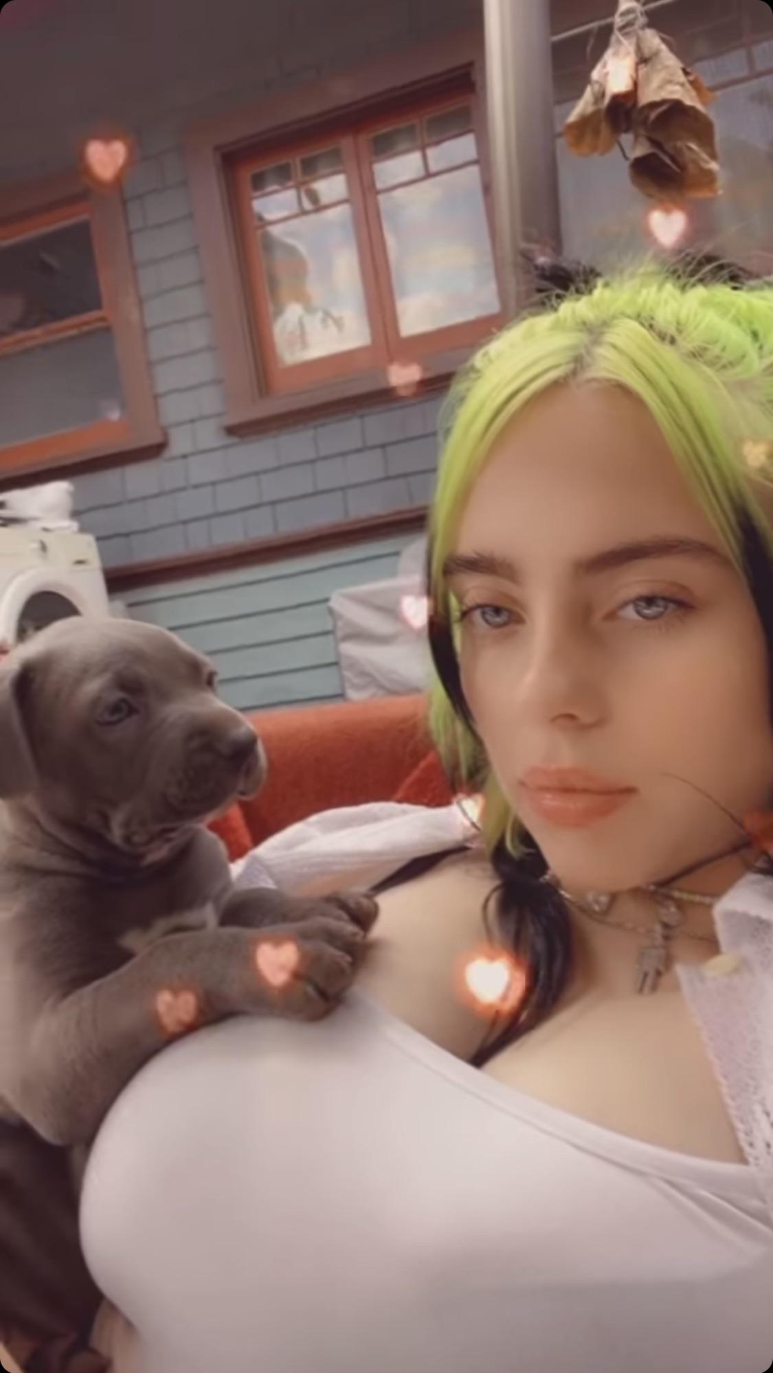 Billie Eilish | Scrolller