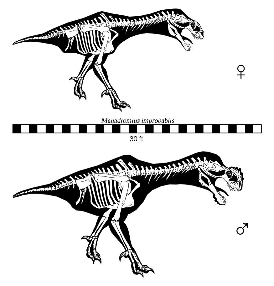 Bipedal locomotion via the forelimbs | Scrolller